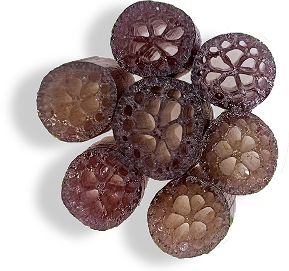 LOTUS-CREVETTEN-SALAT – FEL!X KITCHEN