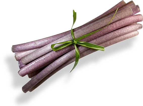 LOTUS-CREVETTEN-SALAT – FEL!X KITCHEN