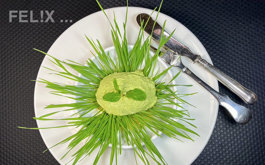 WEIZENGRAS – FEL!X KITCHEN