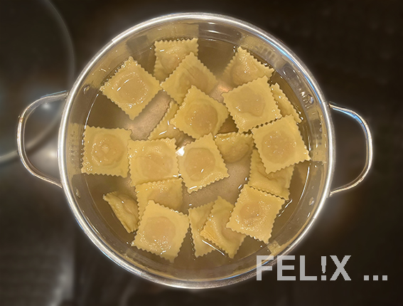 RAVIOLI GANZ EASY – FEL!X KITCHEN